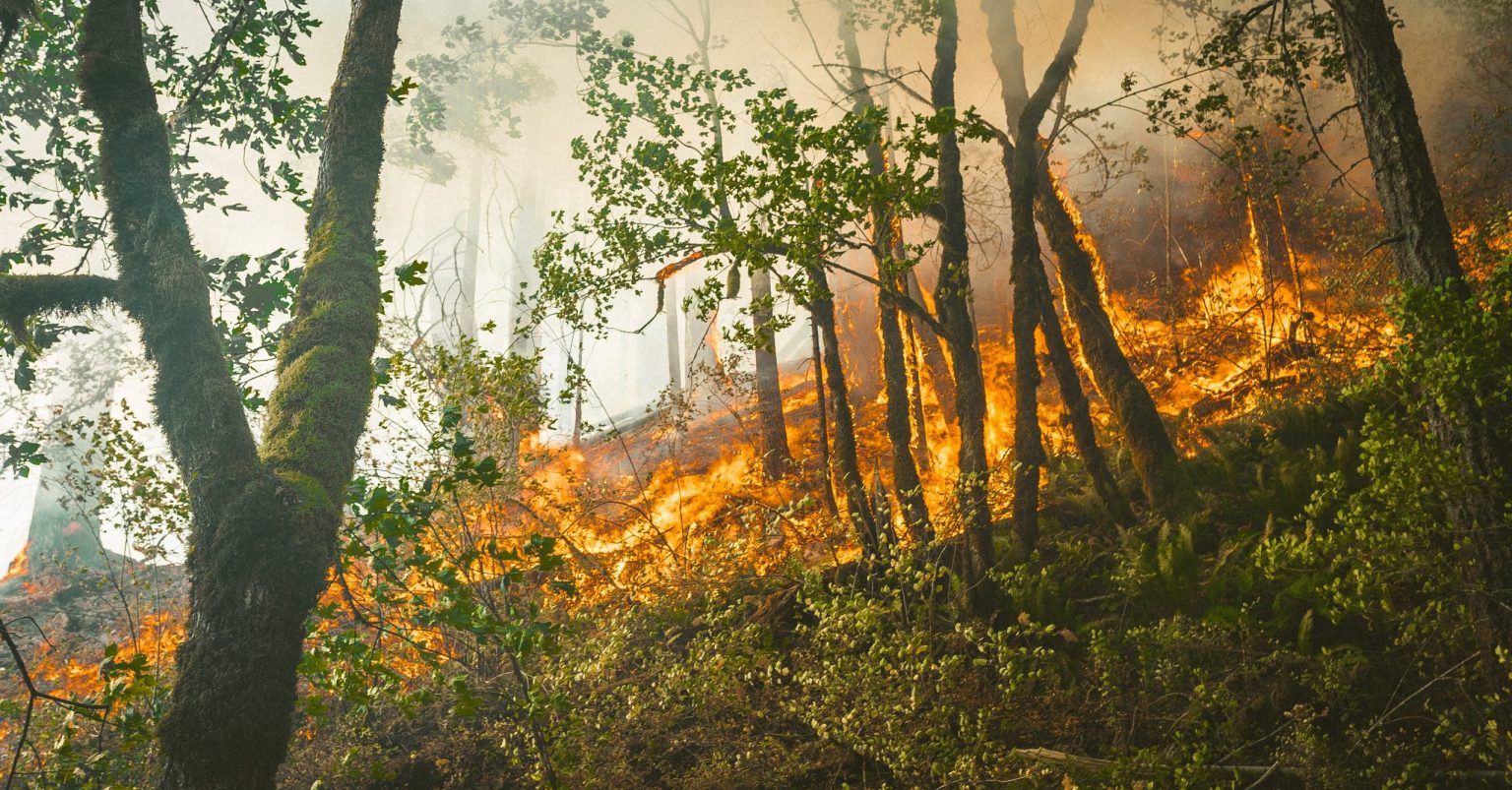 DriveSavers Fights Data Loss from Southern California Fires with Free ...