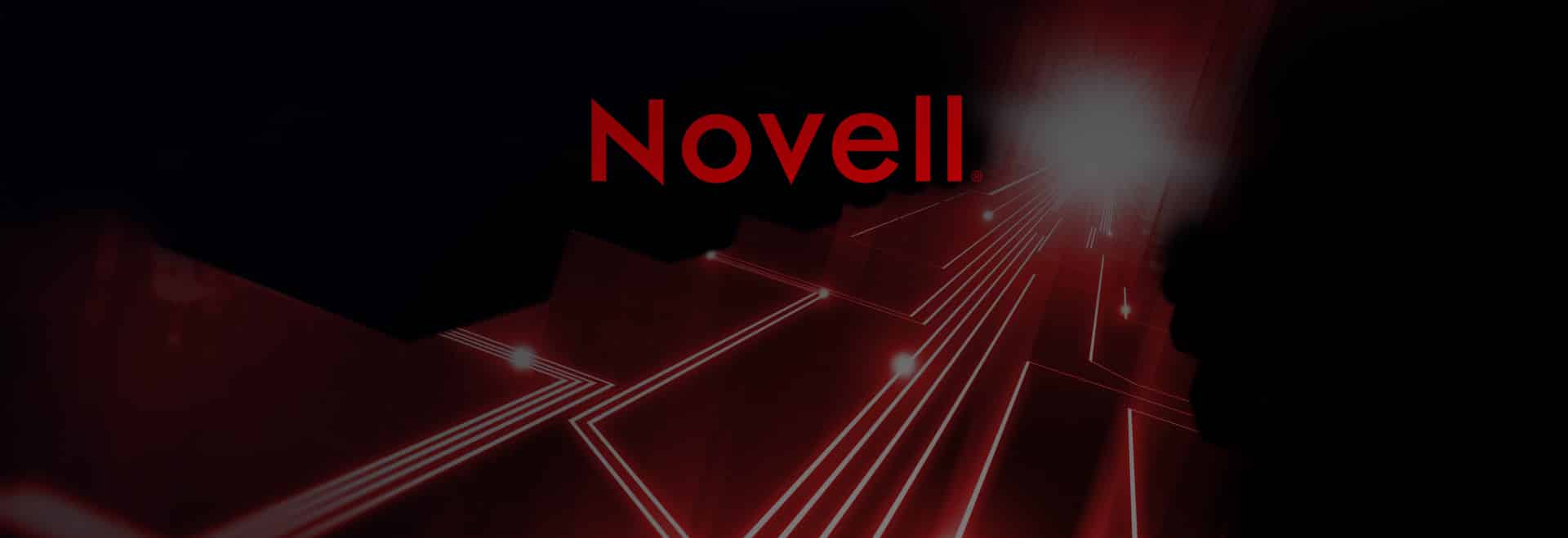 Novell Data Recovery Services | DriveSavers